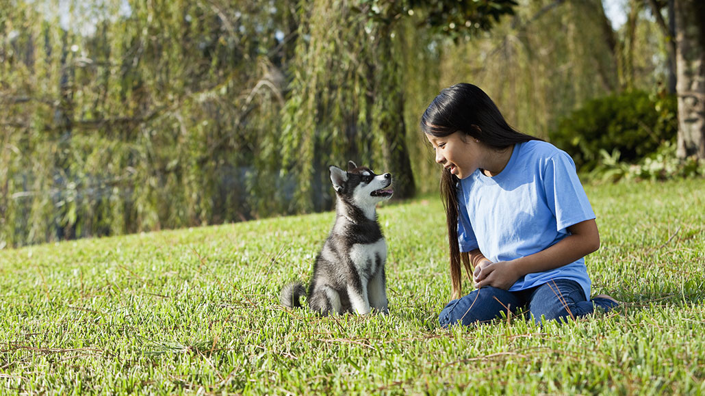 10 Amazing Facts About Dogs - Pets for You - Here are all the tips for ...